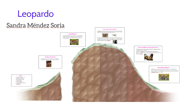 Leopardo by Sandra Méndez Soria on Prezi