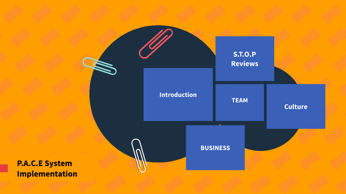 P.A.C.E System Introduction - Petra Infoserv & Norona Tech LLP by Brian ...