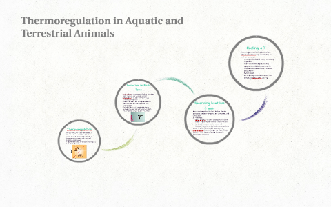 Thermoregulation in Aquatic and Terrestrial Animals by Sonia Becerra on ...