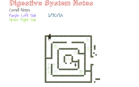 Digestive System by Katie Martin-Riddle on Prezi