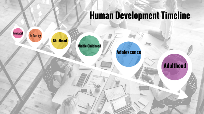 Human Development Timeline by brooklyn jagger on Prezi