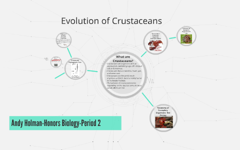 Evolution of Crustaceans by Andy H on Prezi