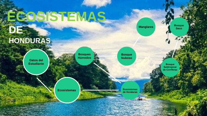 Ecosistemas de Honduras by Danny Pérez on Prezi