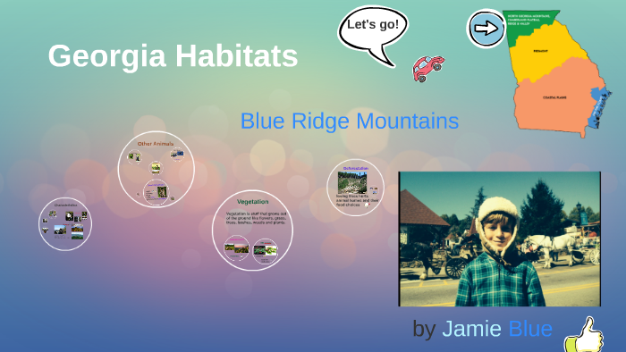 Blue Ridge Mountains habitat by Jamie Blue on Prezi