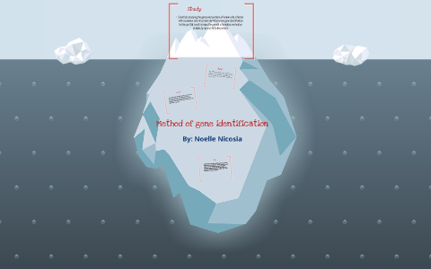 Method of Gene Identification by Noelle Nicosia on Prezi