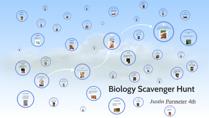 Biology Scavenger Hunt by Justin Parmeter