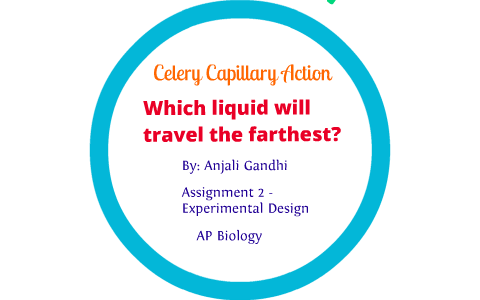 Celery Capillary Action by Anjali Gandhi on Prezi