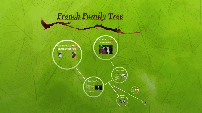 French Family Tree by Kaylee Schroedl