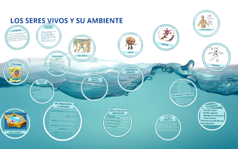 LOS SERES VIVOS Y SU AMBIENTE by chiara simon on Prezi