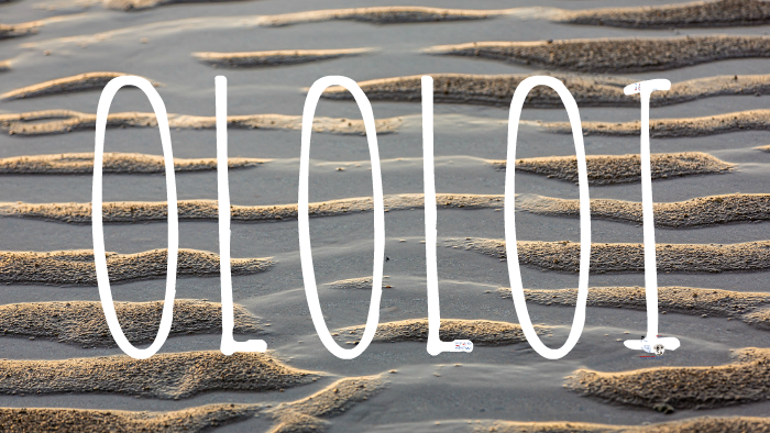 OLOLOI by Abril Brito on Prezi