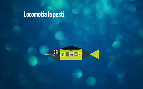 Locomotia la Pesti by Aurelian Pomian on Prezi