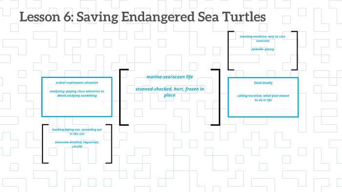 Lesson 6: Saving Endangered Sea Turtles by Katherine Crivello on Prezi