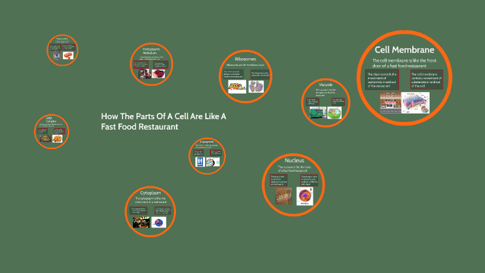 How The Parts Of A Cell Are Like A Fast Food Restaurant by Casey Howard ...