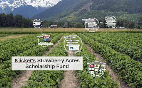 Pursuit of Interest Project by Janelle Hartford on Prezi