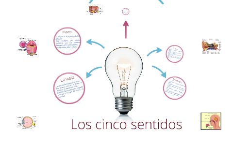 Los sentidos by Maria Dosal Mallavia on Prezi