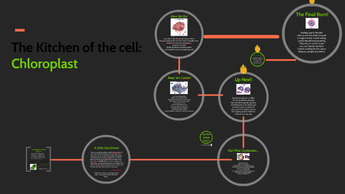 kitchen of the cell: by sarah boblink on Prezi