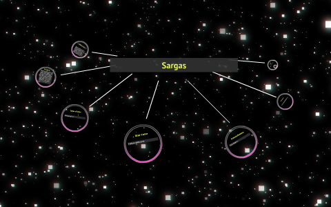 Sargas by on Prezi