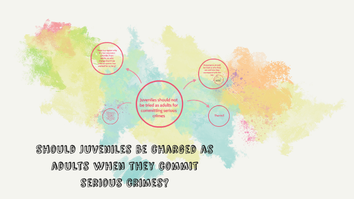 Juveniles Should not be tried as adults for serious crimes by Ana S on ...