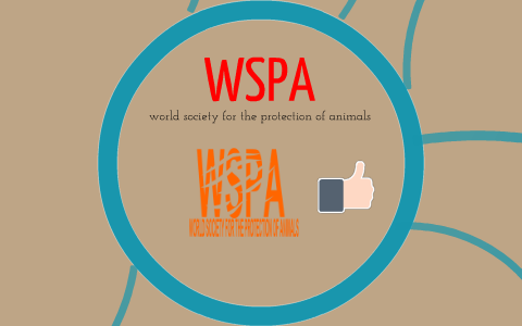 logo de organizacion wspa by KEVIN FERNANDEZ DIAZ