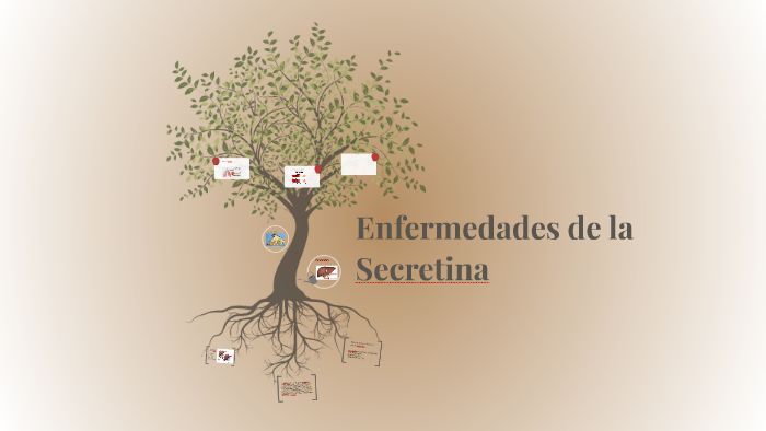 Enfermedades de la Secretina by PAOLA PULLUPAXI on Prezi