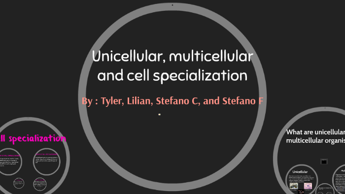 Unicellular, multicellular and cell specialization by Stefano Filice on ...