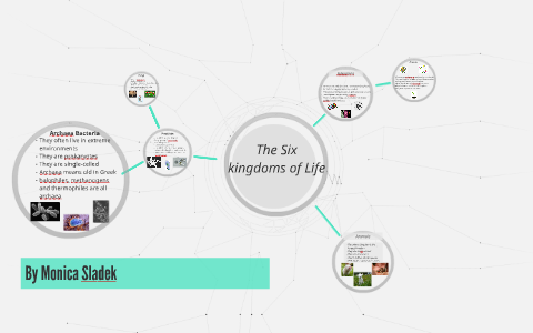 The Six Kindoms of Life by monicaa sladek on Prezi