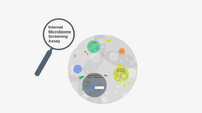 Internal Microbiome Screening Assay by Josh Hillegass on Prezi