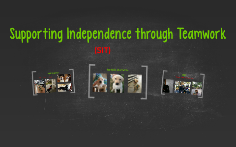 Supporting Independence through Teamwork by Megan Ehlers on Prezi