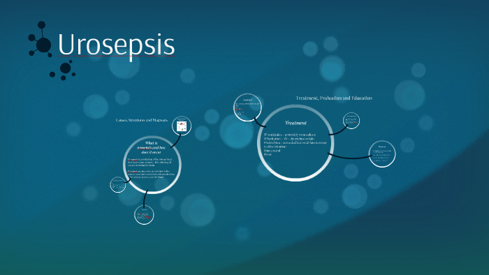 Urosepsis by Lauren Brown on Prezi