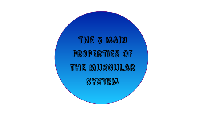 the 5 main properties of the muscular system by Emily Ford on Prezi
