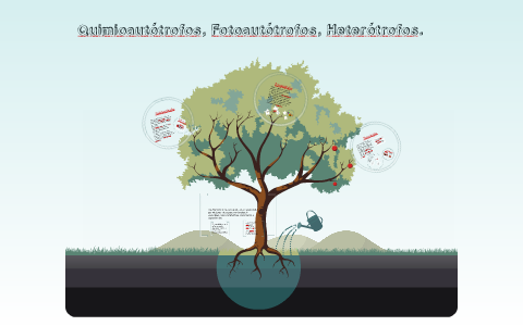 Quimioatotrofos, Fotoautotrofos, Heterotrofos. by julio vargas on Prezi
