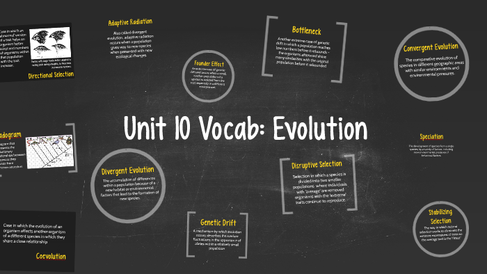 Unit 10 Vocab: Evolution by Dayra Sanchez on Prezi