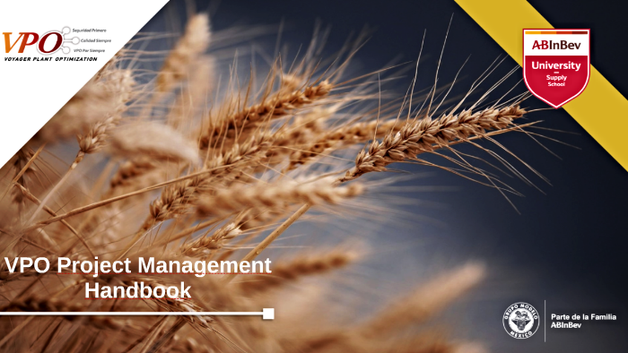 VPO Project Management Handbook by Proyecto GF Apan on Prezi