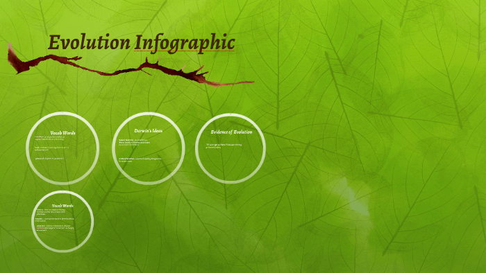 Evolution Infographic by ken s on Prezi