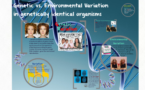 Genetic vs. Environmental Variation by Kendra Lee on Prezi