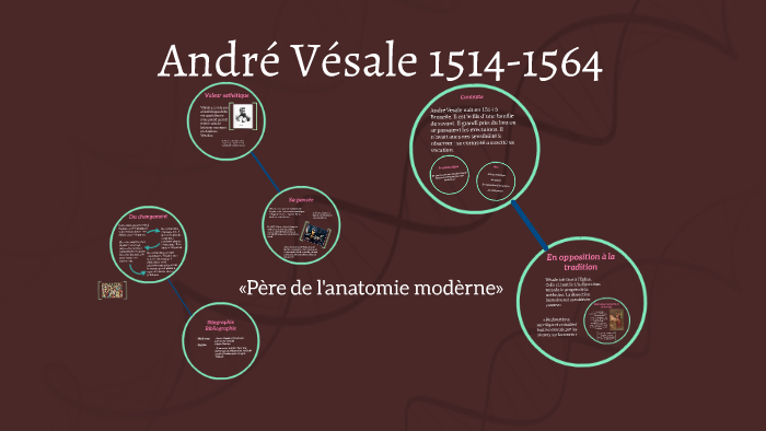 Comment le parcours de André Vésale illustre-t-il l'entrée d by Eva ...