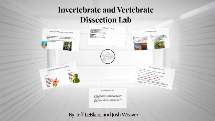Invertebrate and Vertebrate Dissection Lab by Jeff LeBlanc on Prezi