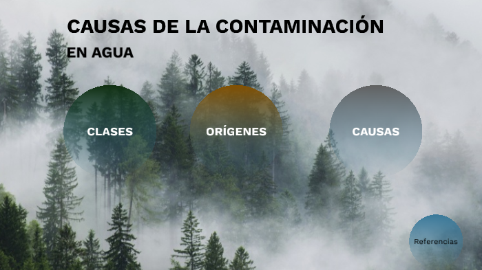 Causas de la contaminación del agua by Nathaniel Lastra