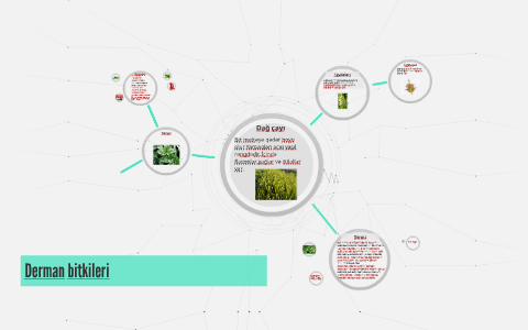 Derman bitkileri by Murad Shiraliyev on Prezi