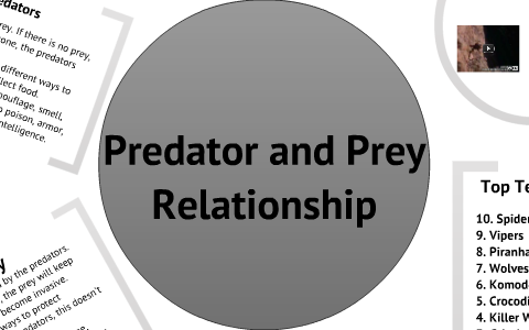Predator vs. Prey by Ryan Petersen on Prezi