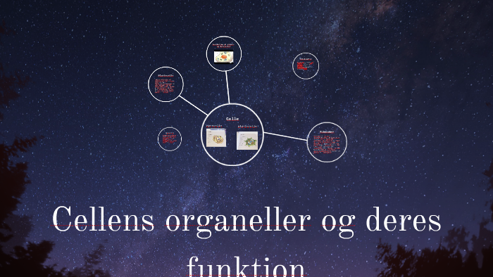 Cellens organeller og deres funktion by Amalie Wettendorff on Prezi