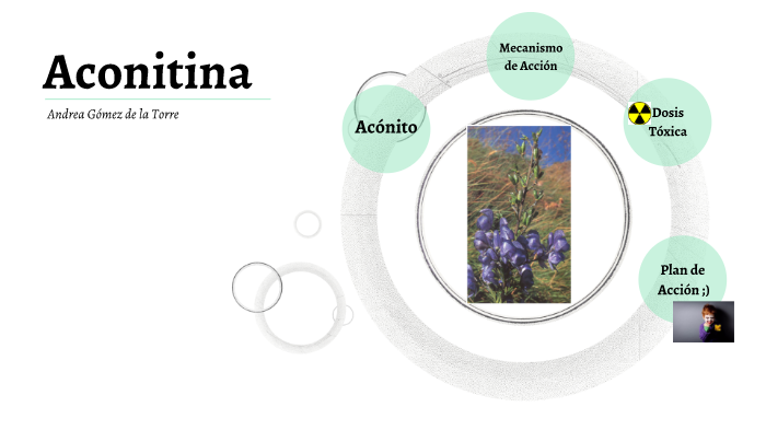 ACONITINA by Andrea Gomez de la Torre on Prezi