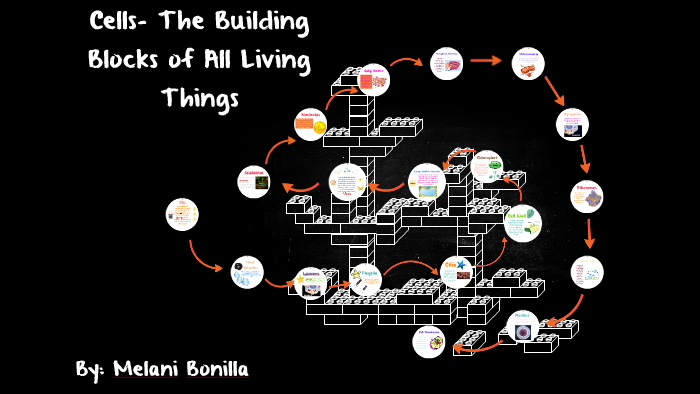 Cells- The Building Blocks of All Living Things by Melani Bonilla on Prezi
