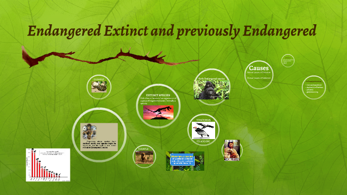 Endangered Extinct and previously Endangered by Hasmukh Behera on Prezi
