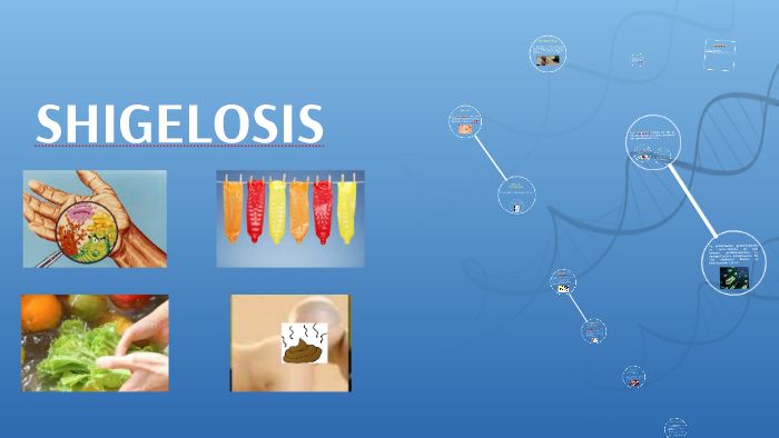 SHIGELOSIS by Lismary Martínez Vargas on Prezi
