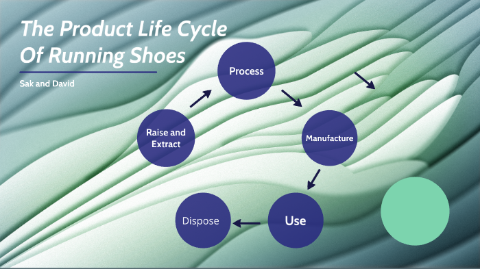 The Product Life cycle of Running Shoes by David Price on Prezi