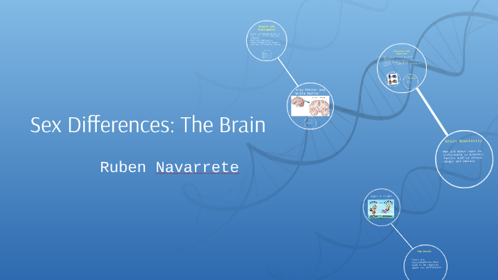 Sex Differences: The Brain by Ruben Navarrete on Prezi