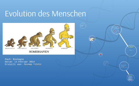 Evolution des Menschen by Zeynep Yildiz on Prezi