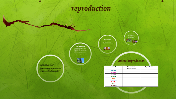 Relationship between environment and animal and plant reprod by ...