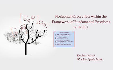 Horizontal direct effect within the Framework of Fundamental by ...